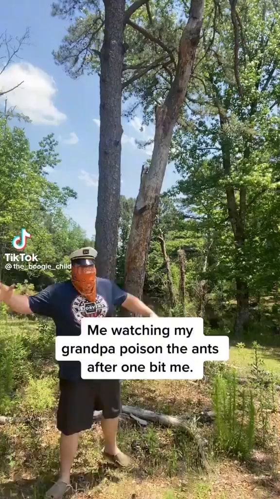 Tik Tok Me watching my grandpa poison the ants after one bit me. - iFunny