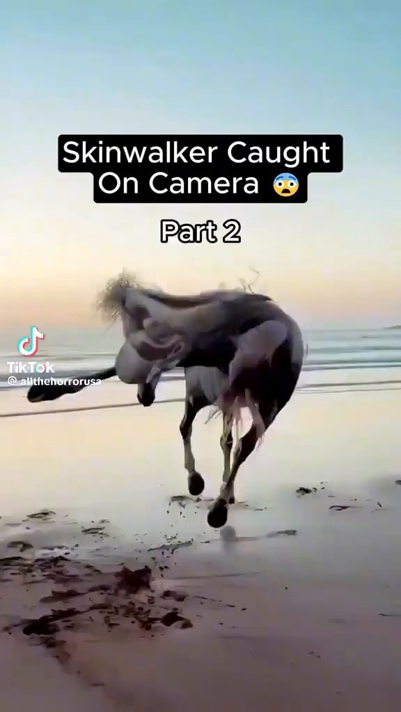 Skinwalker Caught On Camera Part 2 TikTok - iFunny