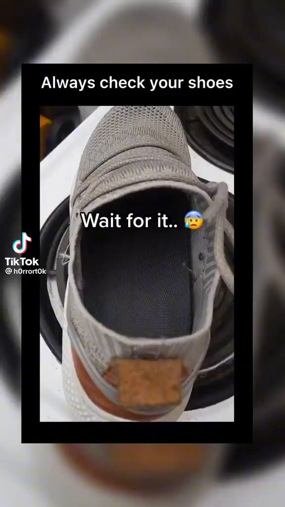 Always check your shoes Wait for it.. cf TikTok @horrortok - iFunny