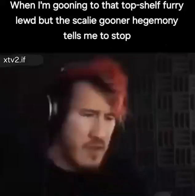 When I'm gooning to that top-shelf furry lewd but the scalie gooner ...