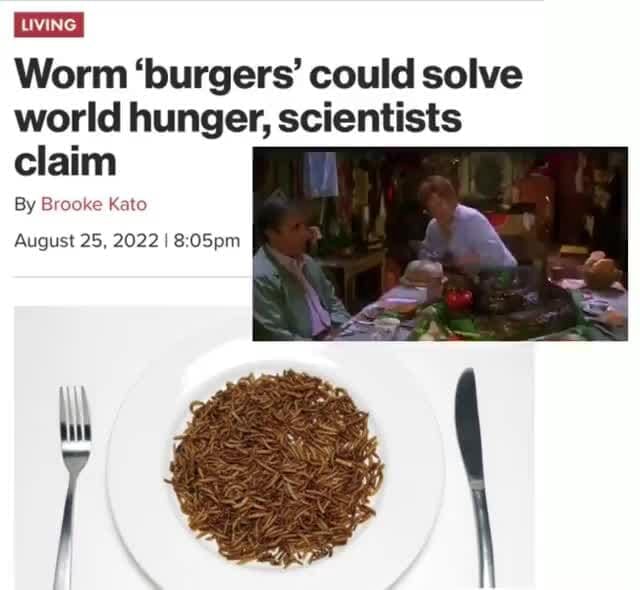 LIVING I Worm 'burgers' could solve world hunger, scientists claim By ...