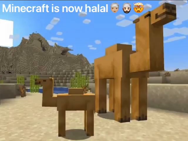 Minecraft is now halal - iFunny