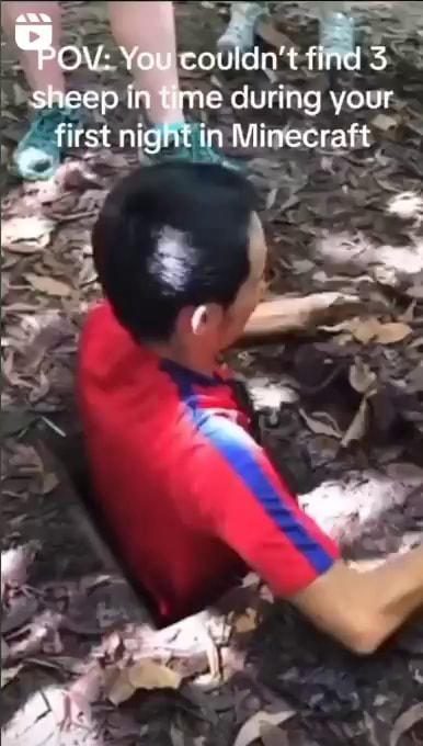 Boy. You couldn't finc 3 sheep in time during your first nigit in ...