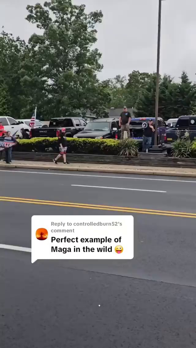 Reply to controlledburnS2's comment Perfect example of Maga in the wild ...