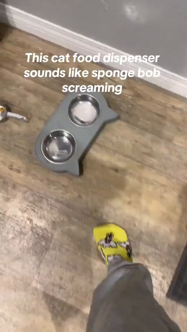 This cat food dispenser sounds like sponge bob screaming - iFunny