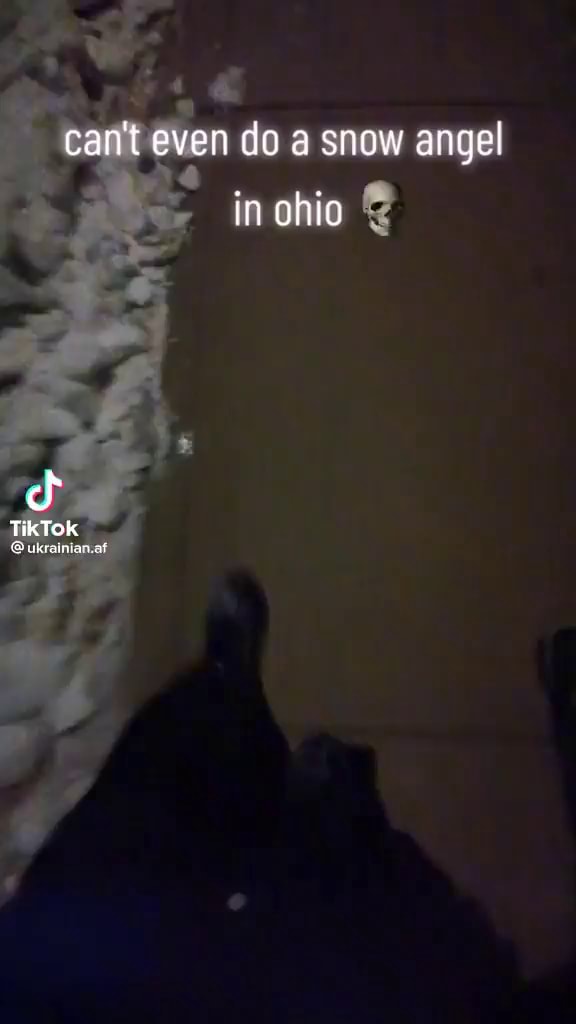 Can't even do a snow angel in ohio TikTok fe at - iFunny