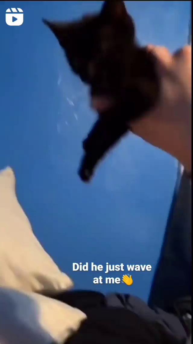 Did he just wave at me - iFunny