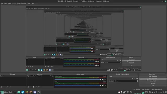 OBS (linux) - Profile: Untitled - Scenes: Untitled (15 safegh-2 (Linn ...