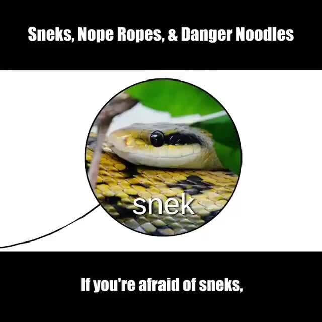Sneks, Nope Ropes, Danger Noodles If you're afraid of sneks, - iFunny