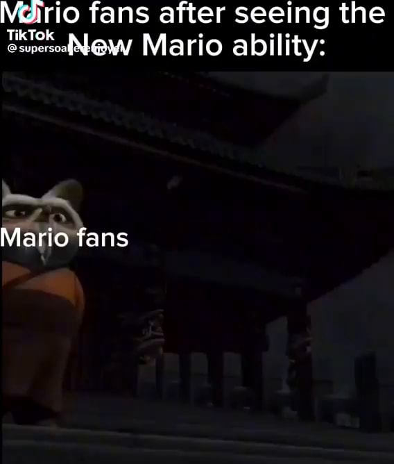 Mario fans after seeing the TikTok Mario ability: Mario fans - iFunny