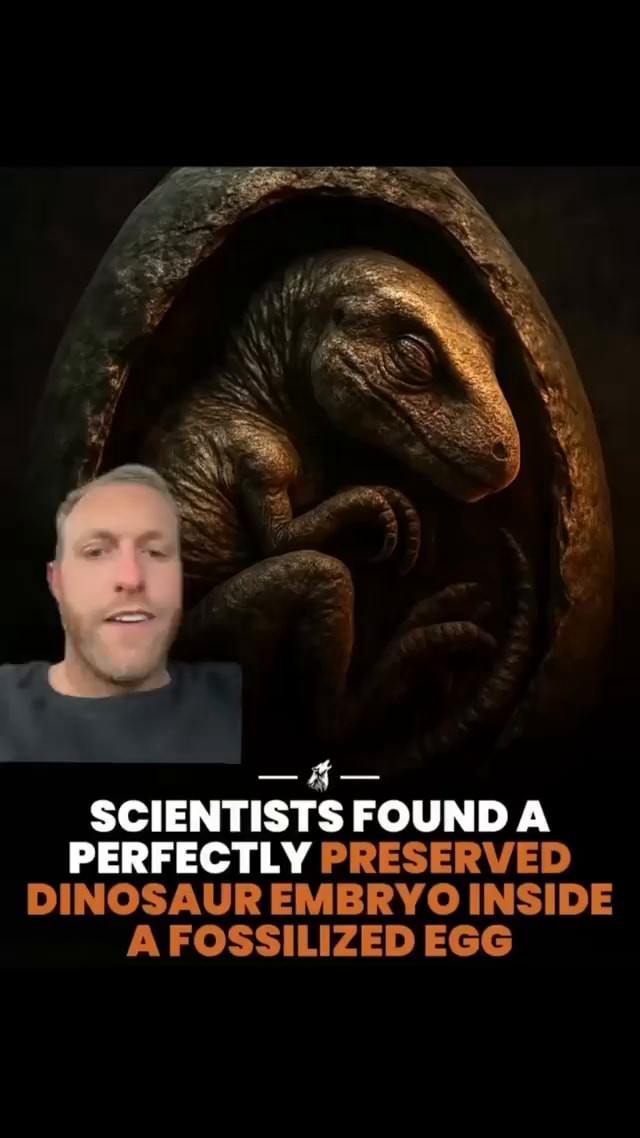 SCIENTISTS FOUND PERFECTLY PRESERVED DINOSAUR EMBRYO INSIDE A ...