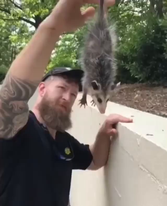 Video memes PvU0kkKw9 by mishuk: 218 comments - iFunny