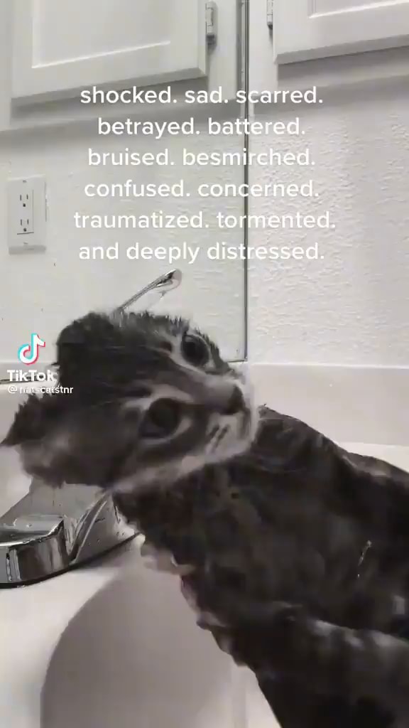 Shocked. sad. scarred. betrayed. battered, bruised. besmirched ...