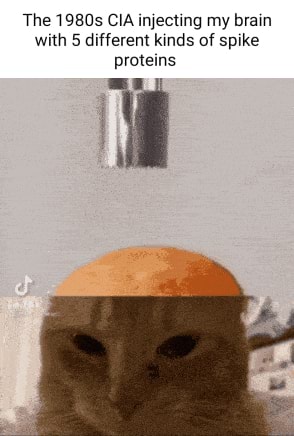 The 1980s CIA injecting my brain with 5 different kinds of spike ...