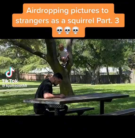Airdropping pictures to strangers as a squirrel Part. 3 I TikTOk - iFunny