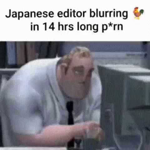 Japanese editor blurring in 14 hrs long p*rn - iFunny