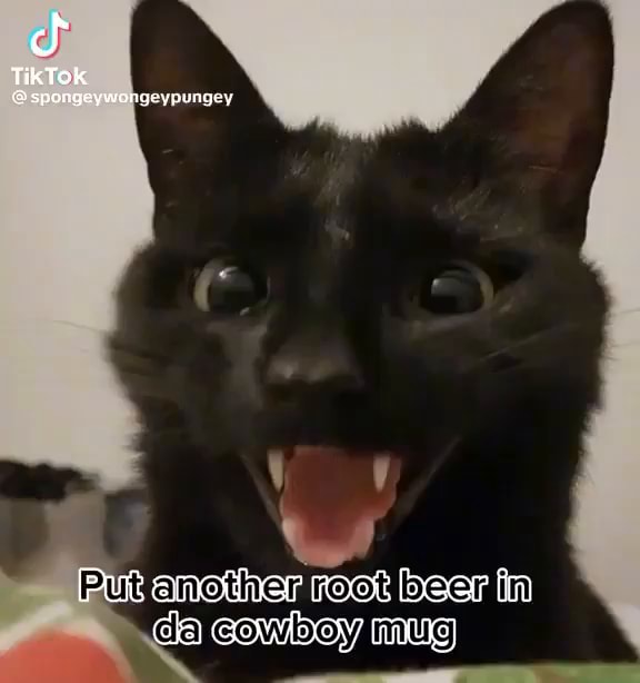 TikTok geypungey ff Put ancther root beer tin da cowboy mug - iFunny