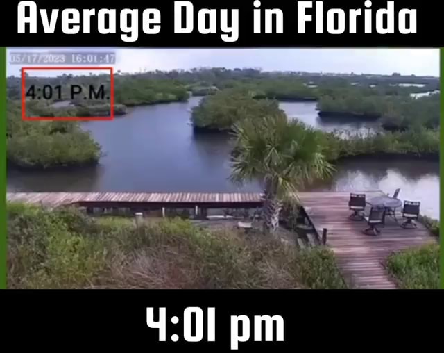 Average Day in Florida pm - iFunny