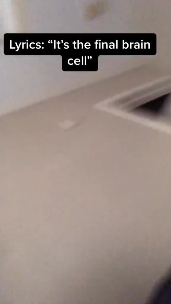 Lyrics: "It's the final brain cell" - iFunny