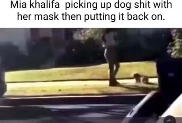 Mia khalifa picking up dog shit with her mask then putting it back on ...