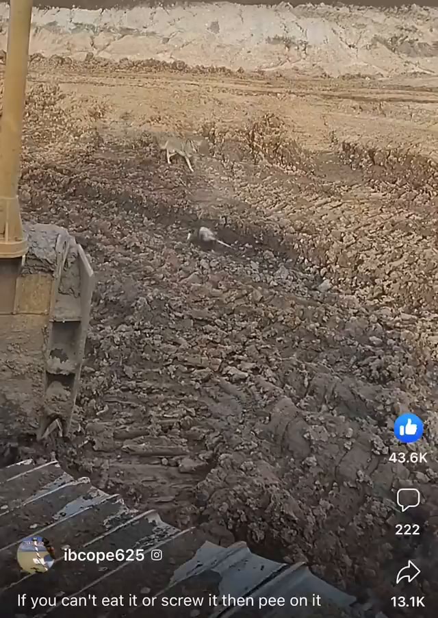 If you can't eat it or screw it then pee on it 13.1K - iFunny