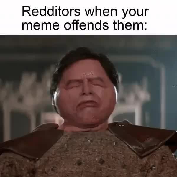 Redditors when your meme offends them: - iFunny