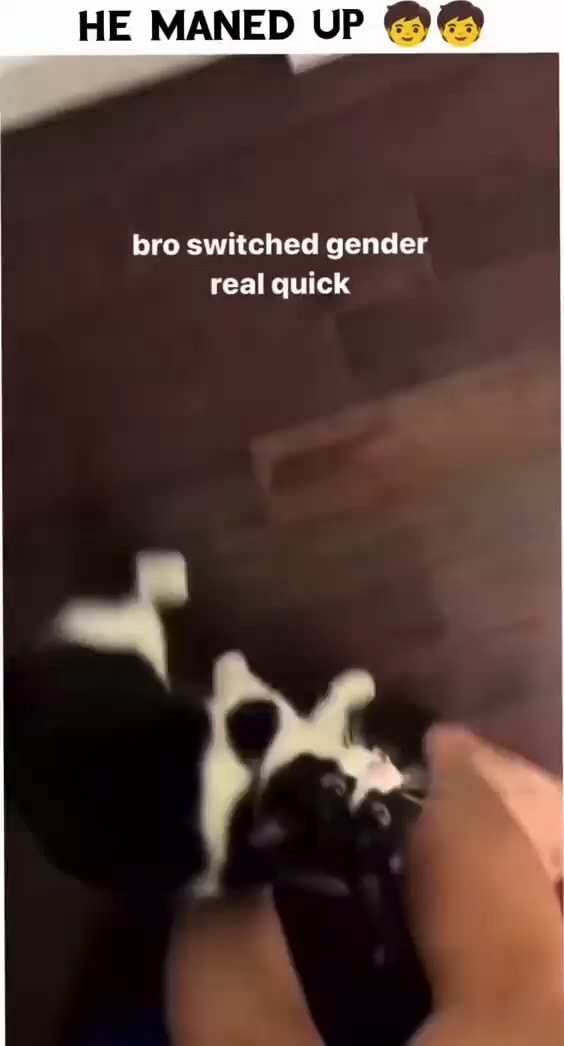 HE MANED UP bro switched gender real quick - iFunny