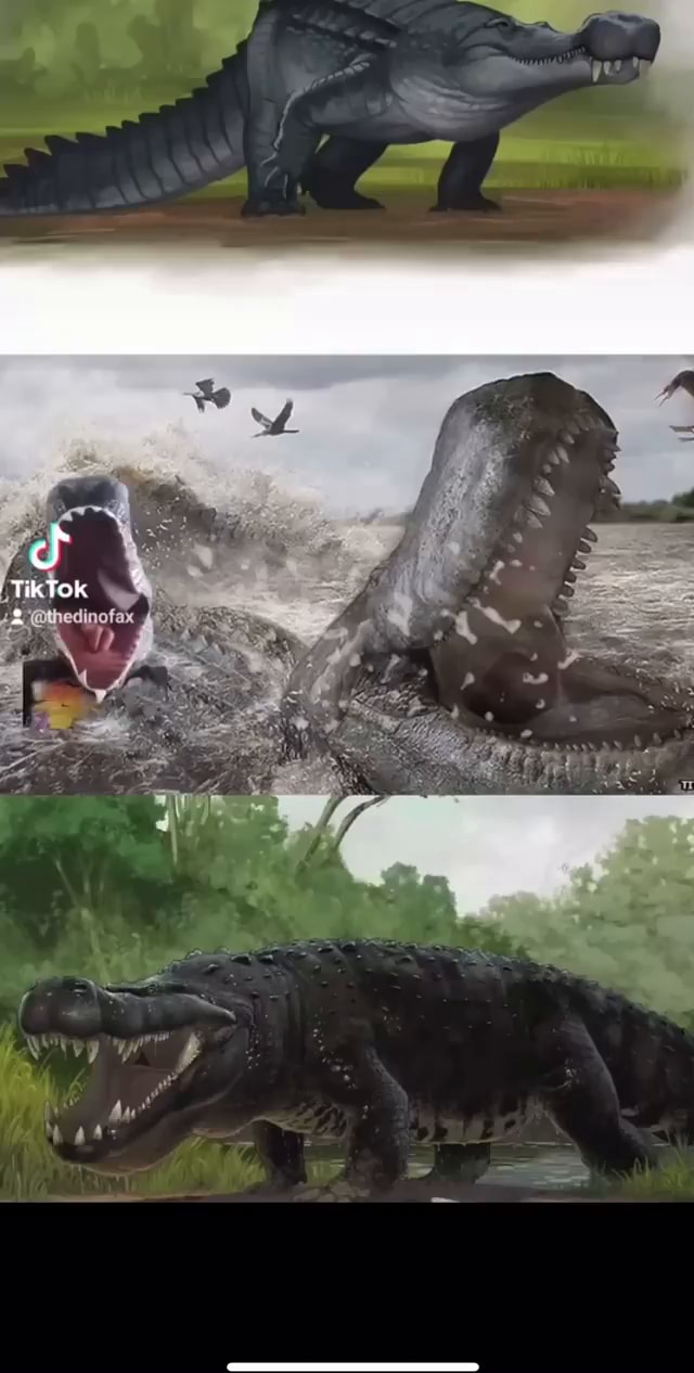 Video memes 7DaV5p7YA by dragon2020 - iFunny