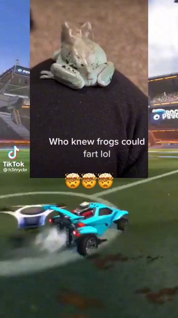 Who knew frogs could fart lol TikTok - iFunny