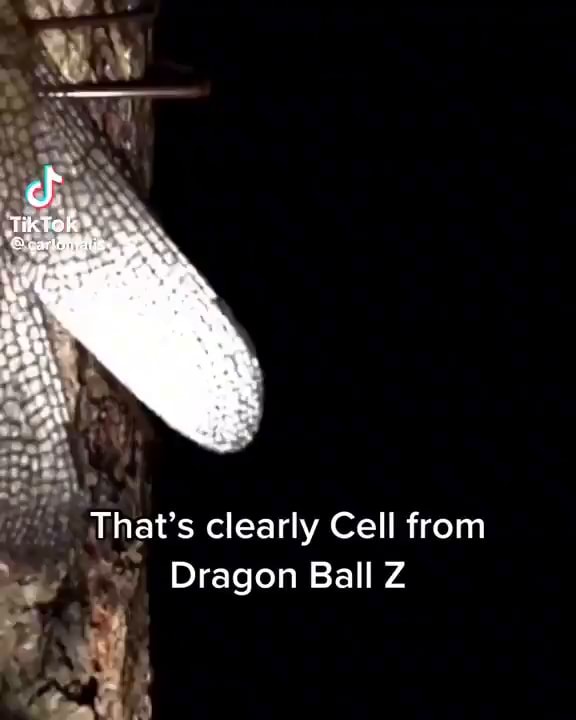 That's clearly Cell from Dragon Ball Z - iFunny