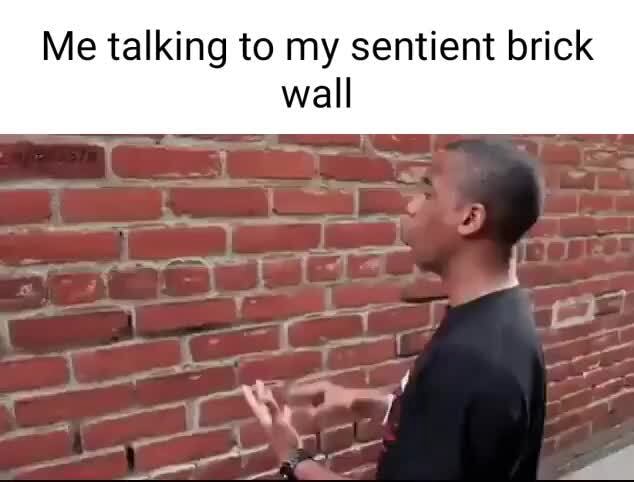 Me talking to my sentient brick wall - iFunny
