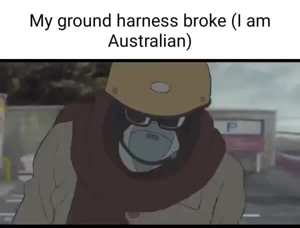 My ground harness broke (Il am Australian) - iFunny