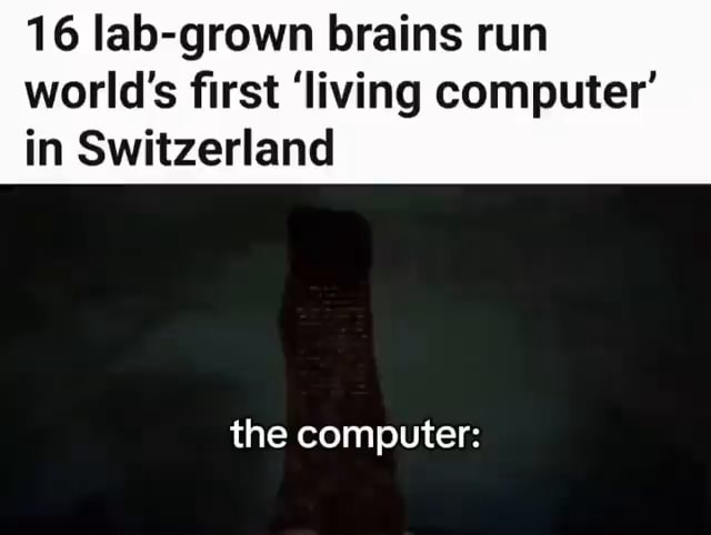 16 lab-grown brains run world's first 'living computer' in Switzerland ...