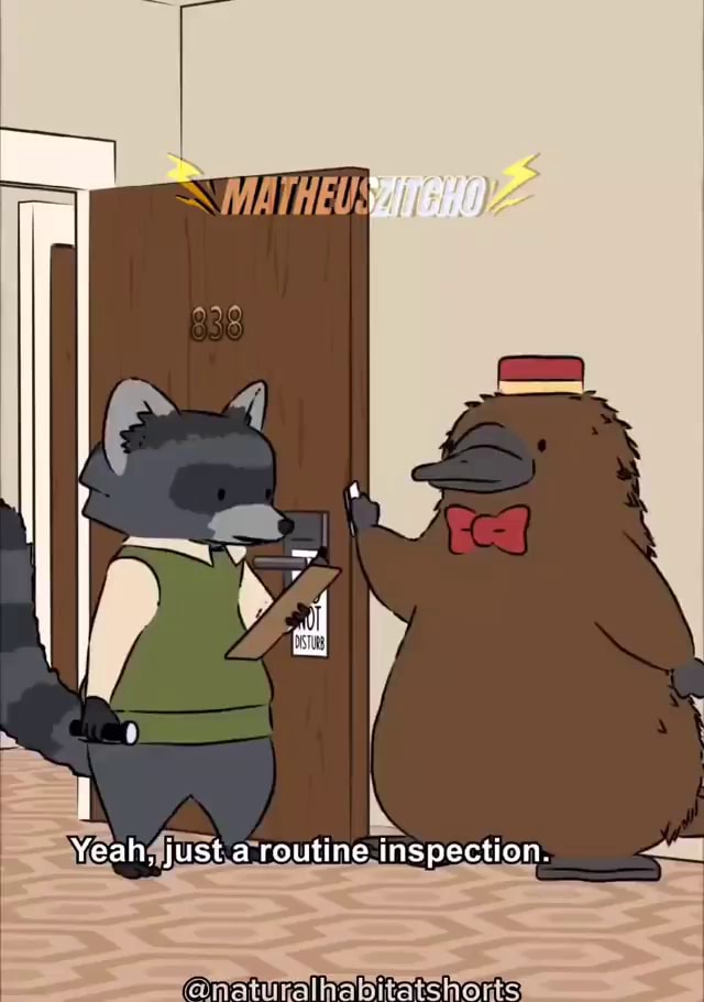 Yeah, just a routine inspection. - iFunny