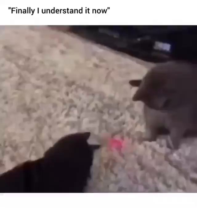 "Finally I understand it now" - iFunny