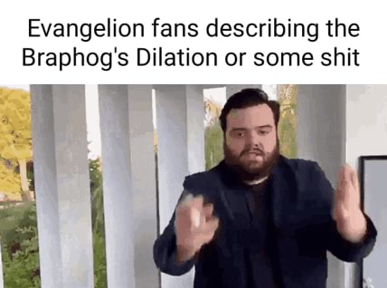Evangelion fans describing the Braphog's Dilation or some shit is - iFunny