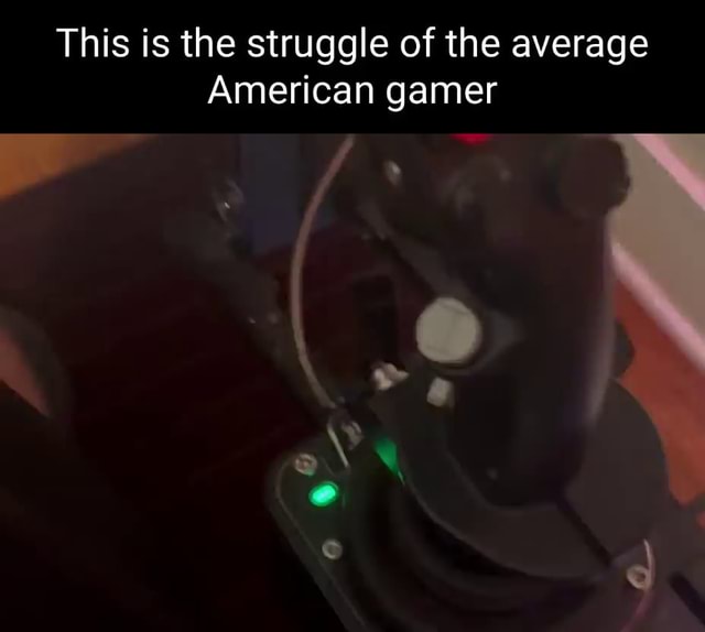 This is the struggle of the average American gamer - iFunny