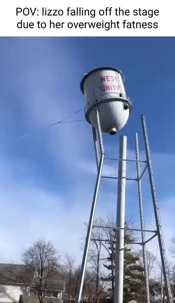 POV: lizzo falling off the stage due to her overweight fatness - iFunny