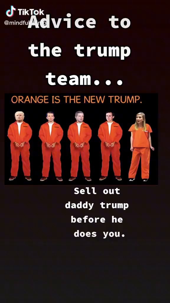 TikTok vice to the trump team... ORANGE IS THE NEW TRUMP. FF Sell out daddy trump before he does ...