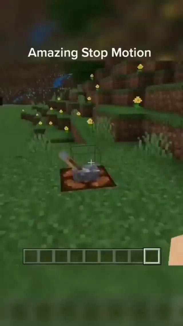 Amazing Stop Motion of - iFunny