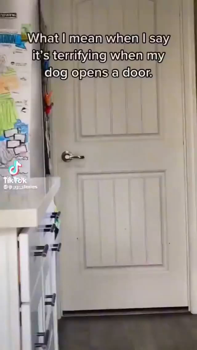 WW mean when terrifying when my - iFunny