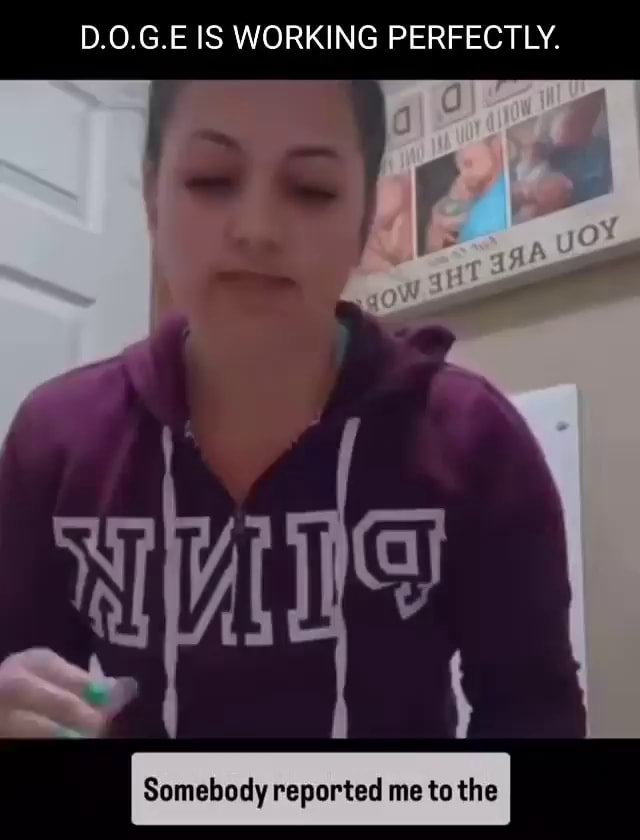 D.O.G.E IS WORKING PERFECTLY. I I Somebody reported reported me me ...