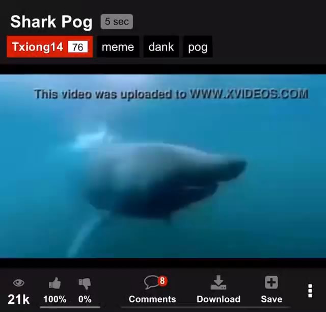 Shark Pog meme dank pog This video was uploaded to ce 100% 0% Comments ...