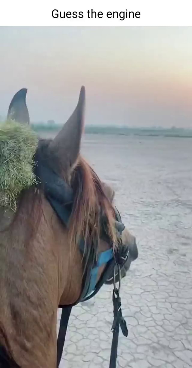 Guess the engine - iFunny