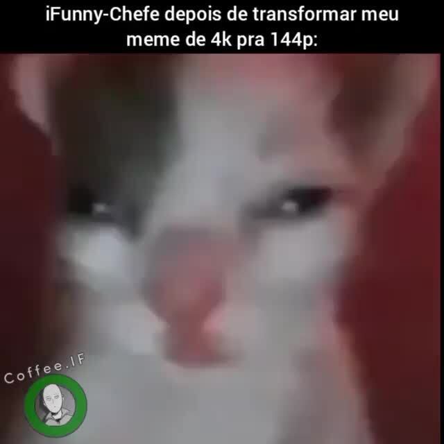 IFunny-Chefe depois de transformar meu meme de pra 144p: co - iFunny