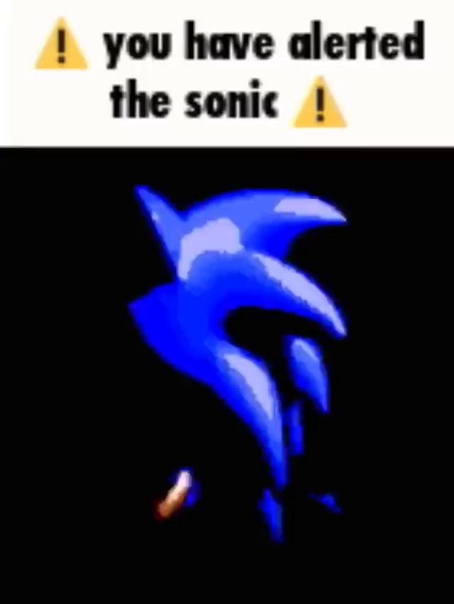 You have alerted the sonic - iFunny