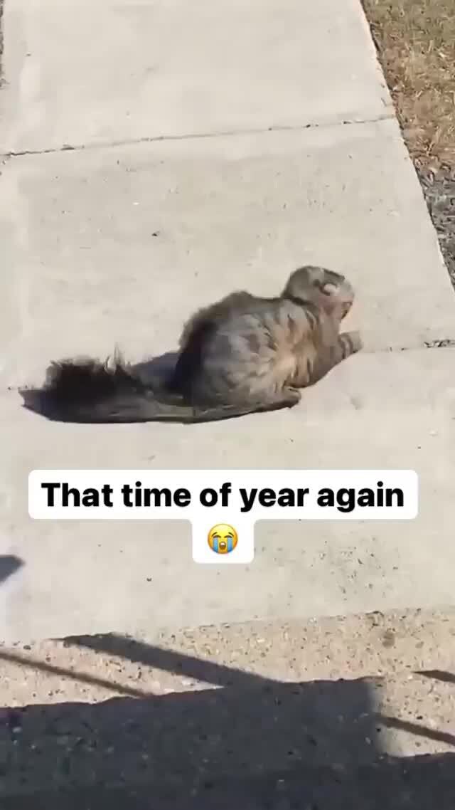 That time of year again wy - iFunny