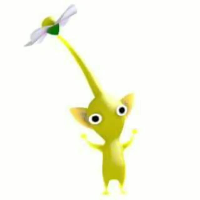 Codys Birthday Codys Codys Birthday Ifunny