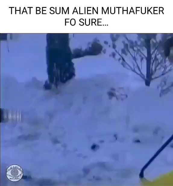 THAT BE SUM ALIEN MUTHAFUKER FO SURE... - iFunny