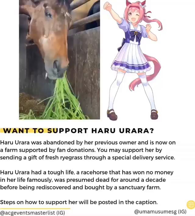 WANT TO SUPPORT HARU URARA? Haru Urara was abandoned by her previous owner and is now on a farm ...